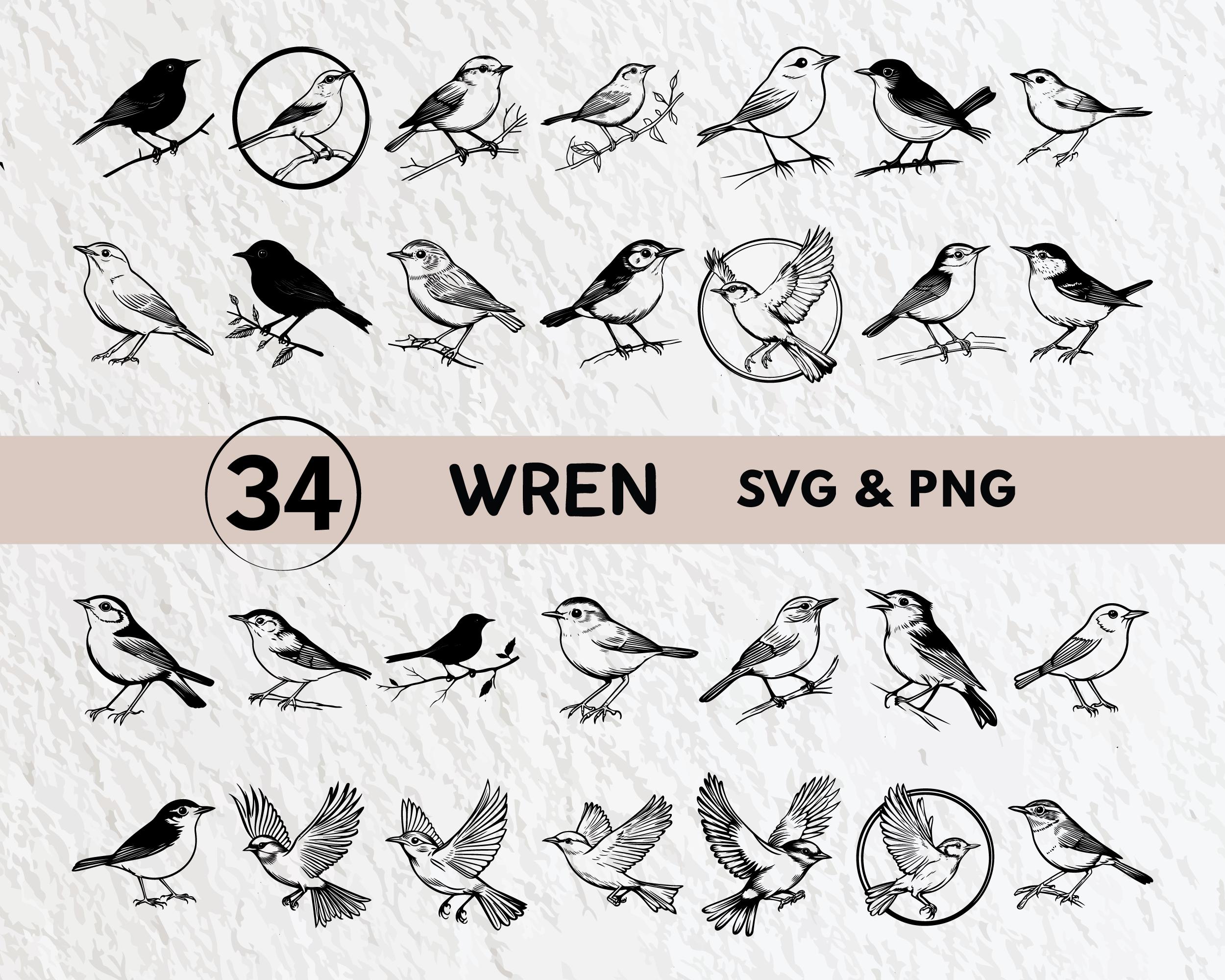 Wren SVG Bundle: Silhouette Clipart, Vector Decal (PNG, Cricut) - Etsy