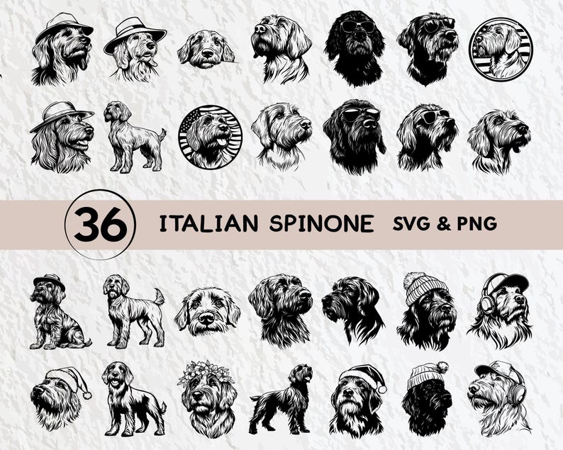 Italian Spinone Silhouette SVG & PNG Clipart Bundle - Etsy