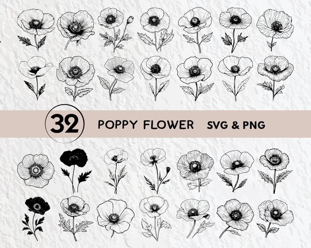 Poppy Flower Svg Bundle, Poppy Flower Silhouette, Poppy Flower Clipart ...