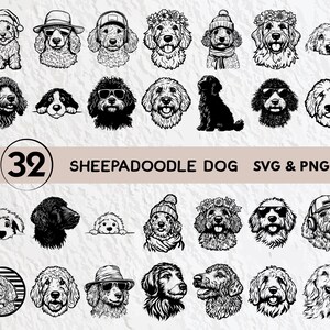 Sheepadoodle Dog SVG Bundle: Clipart, Silhouette, Vector (PNG, Cut ...