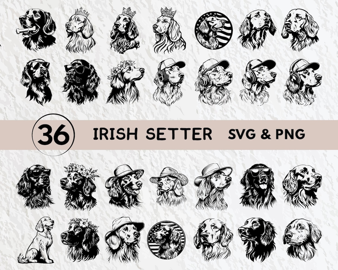 Irish Setter Svg Bundle, Irish Setter Silhouette, Irish Setter Clipart ...