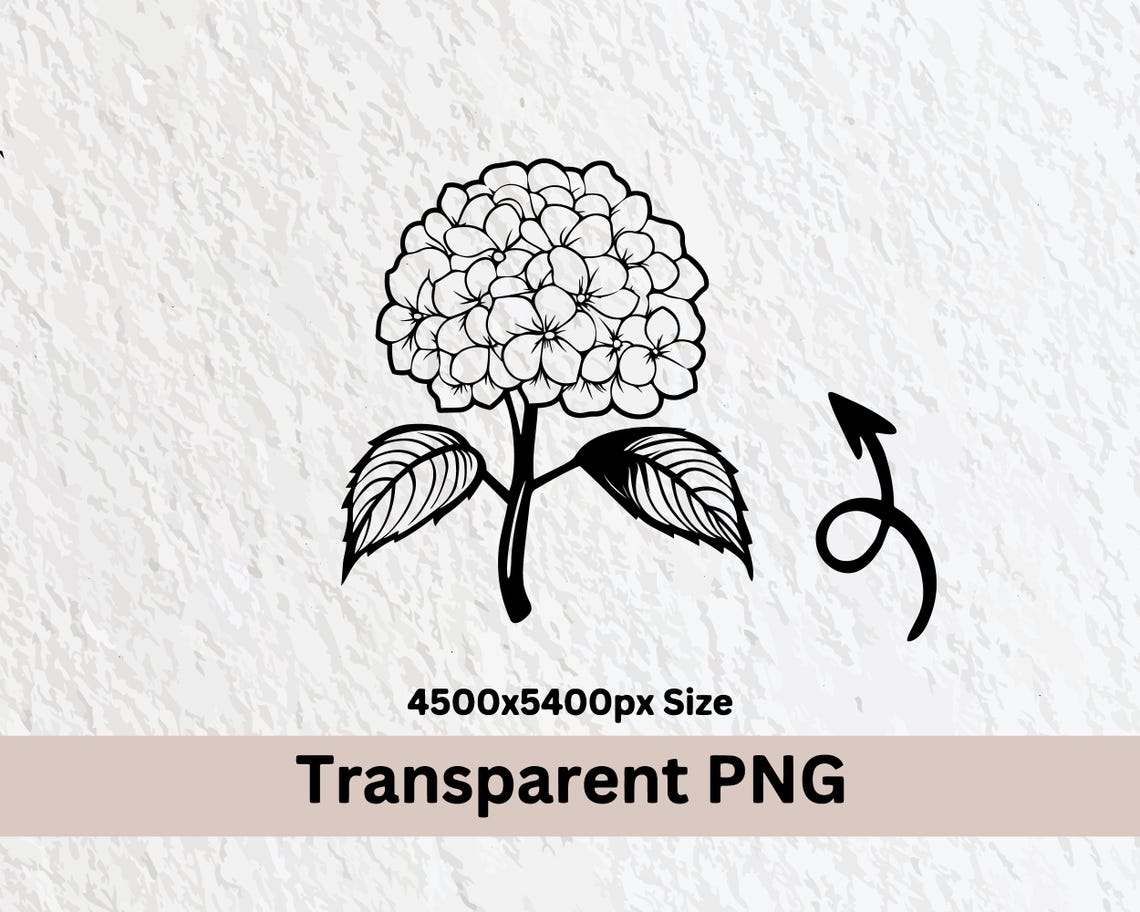 Hydrangea SVG Bundle: Floral Silhouette, Clipart, Vector (digital ...