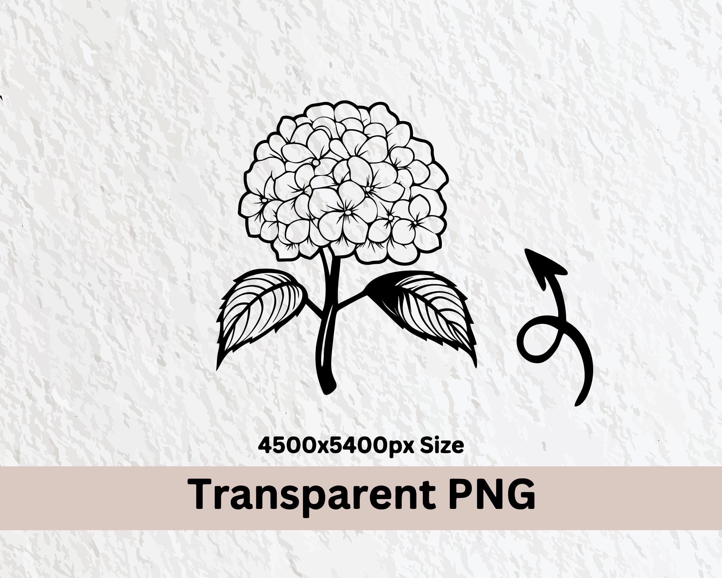Hydrangea SVG Bundle: Floral Silhouette, Clipart, Vector (digital ...