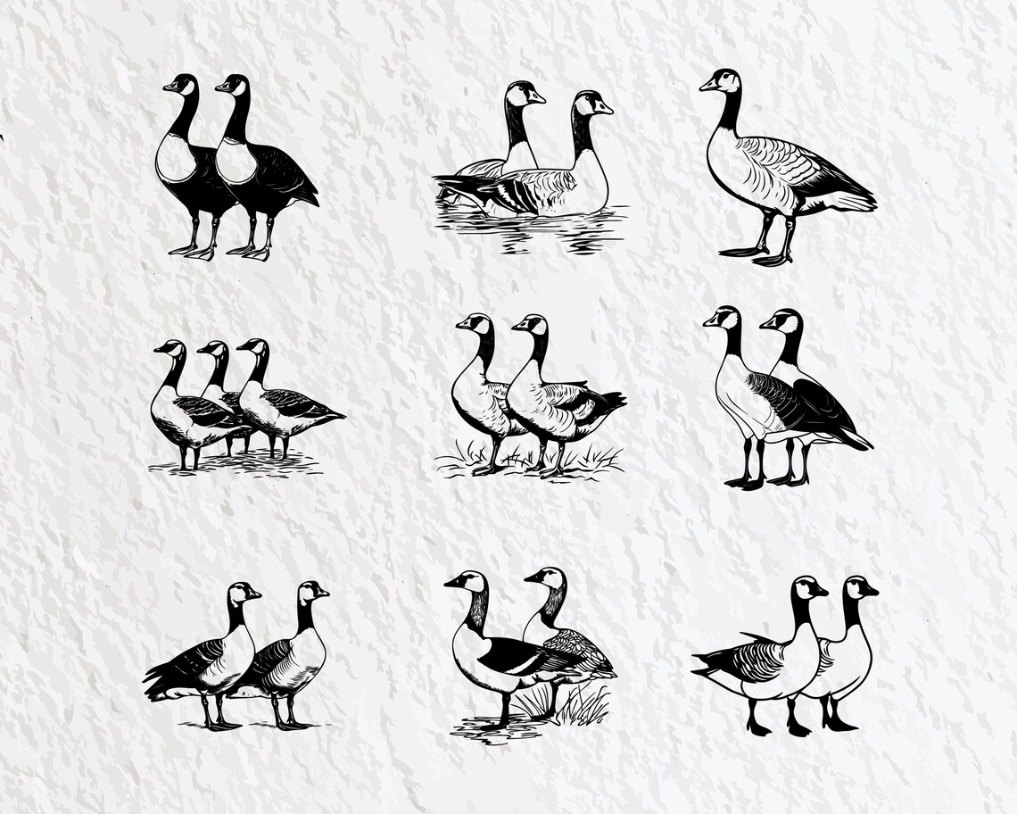 Canadian Goose Svg Bundle, Canadian Goose Silhouette, Canadian Goose ...