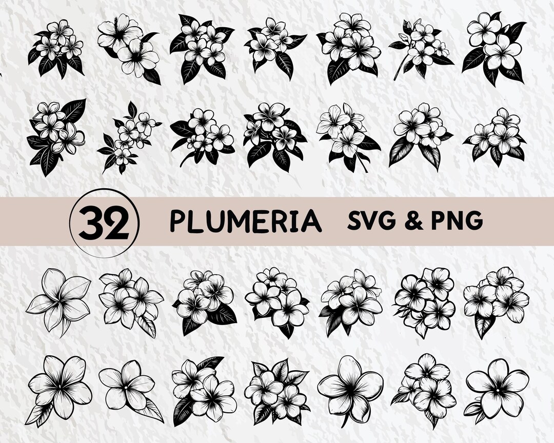 Plumeria SVG Bundle: Floral Silhouette Clipart (PNG, Vector) - Etsy