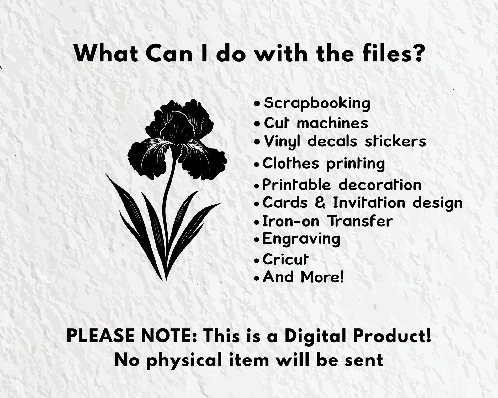 Iris Flower Svg Bundle, Iris Flower Silhouette, Iris Flower Clipart Png ...