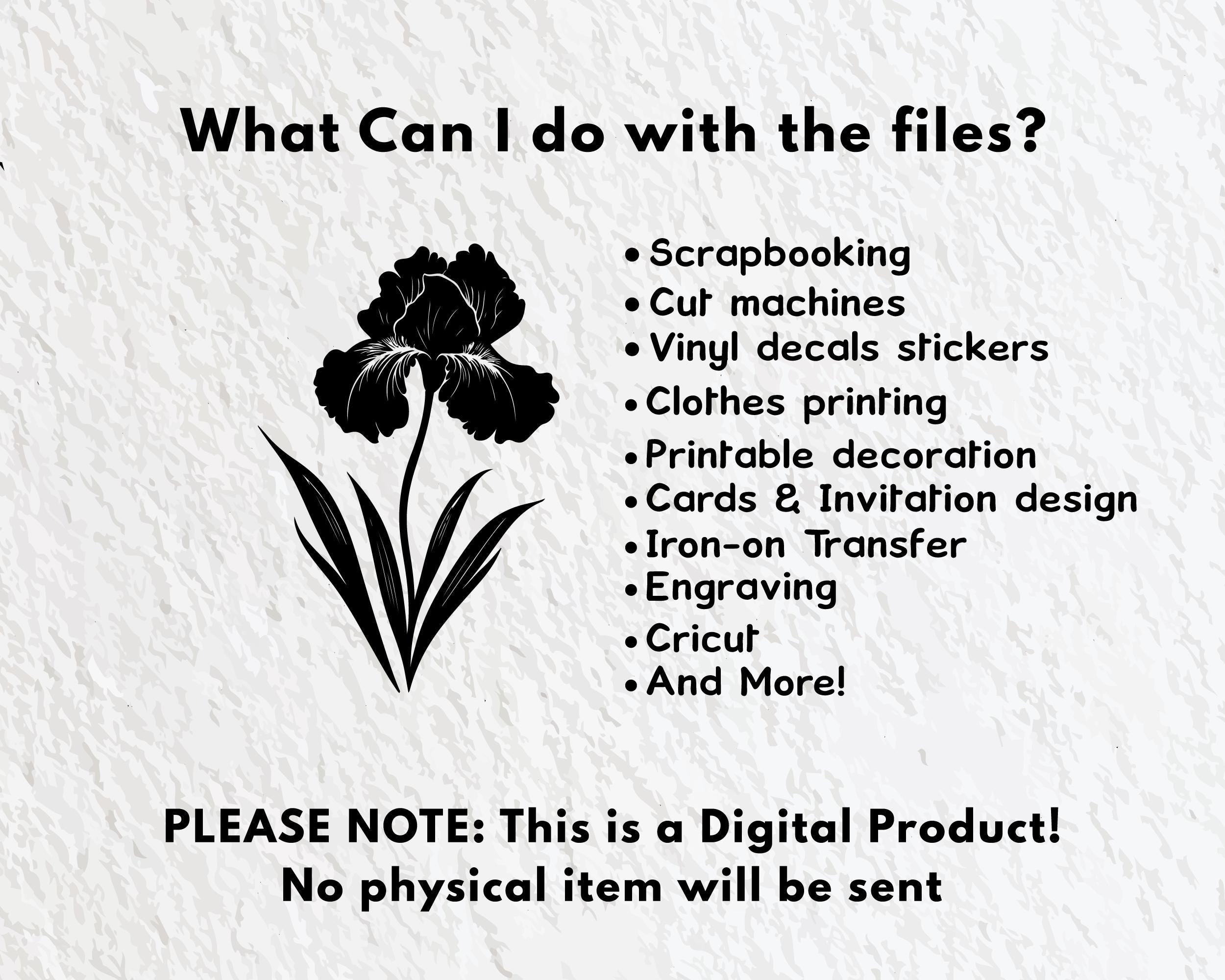 Iris Flower Svg Bundle, Iris Flower Silhouette, Iris Flower Clipart Png ...