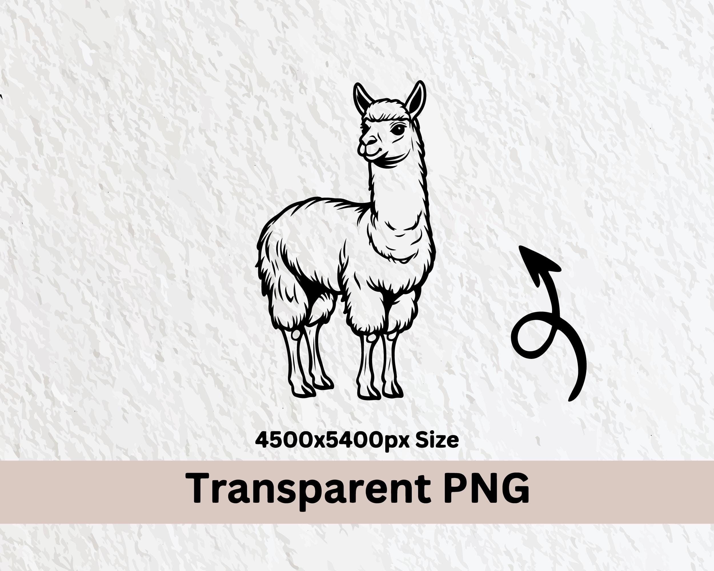 Alpaca Svg Bundle, Alpaca Silhouette, Alpaca Clipart Png, Alpaca ...