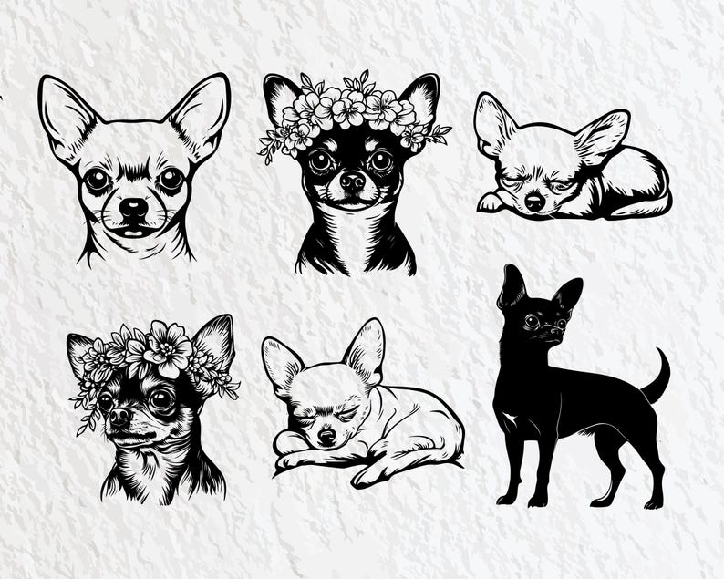 Chihuahua Dog Silhouette Bundle Png, Chihuahua Dog Svg Bundle Cut Files ...
