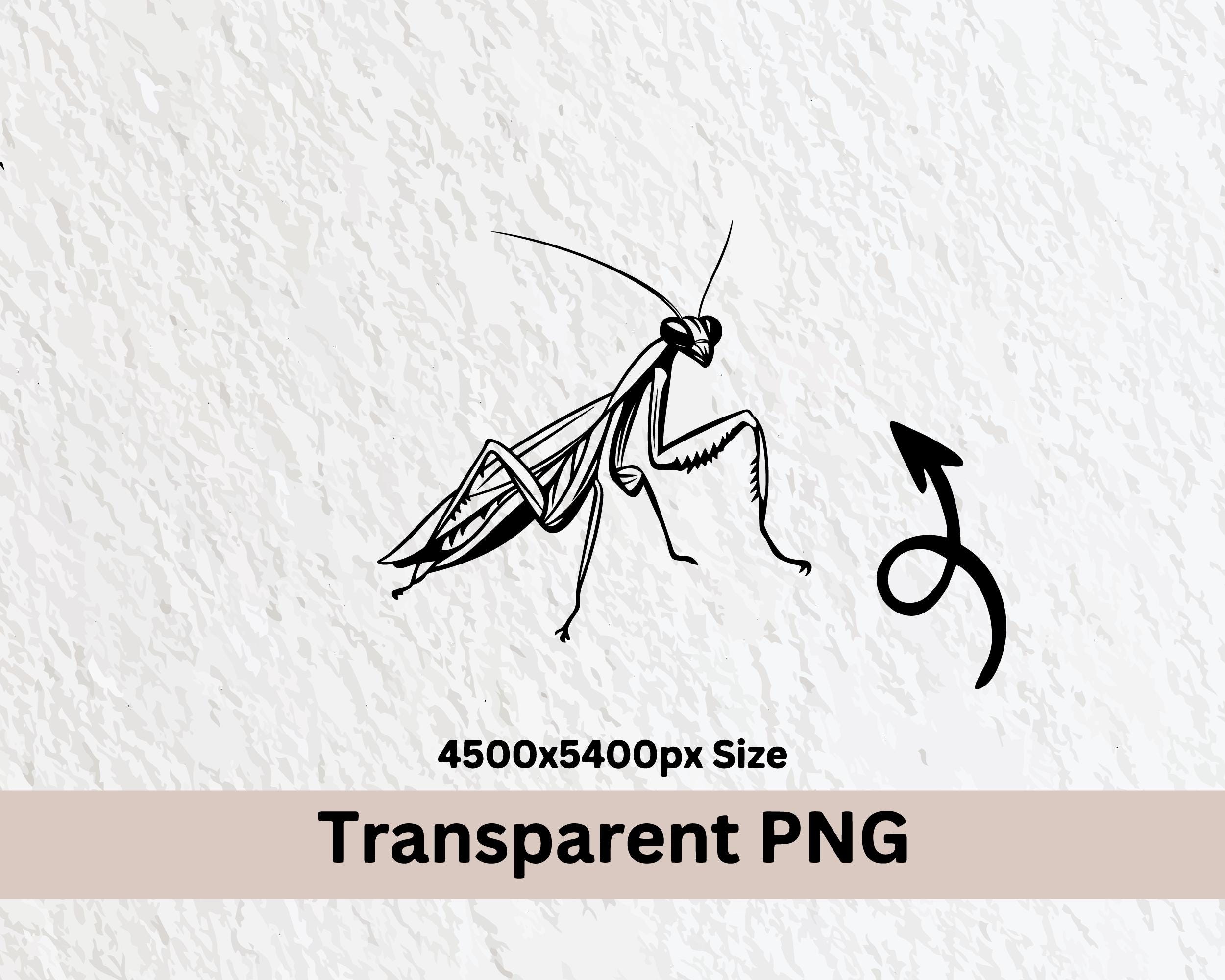 Praying Mantis Svg Bundle, Praying Mantis Silhouette, Praying Mantis ...