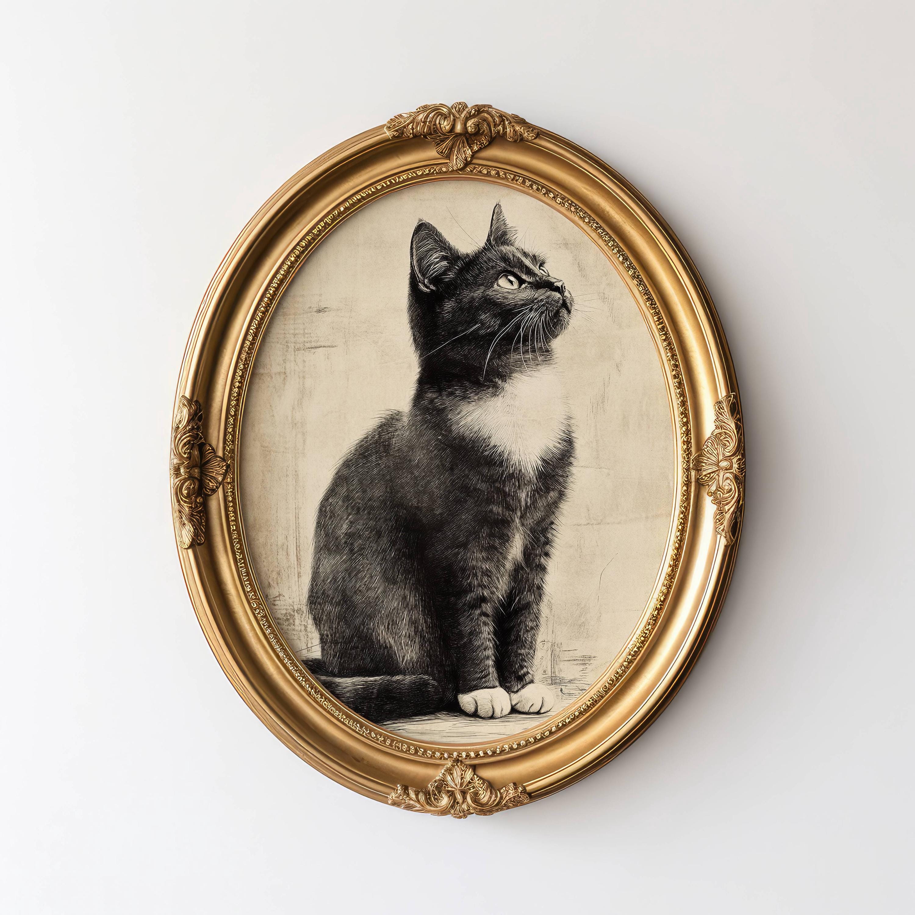 Vintage Cat Sketch, Wall Art of Cats, House Cat Sketch, Antique Cat Art ...