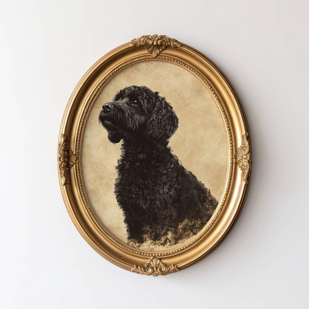 Vintage Labradoodle Wall Art, Dog Illustration Office Decor Wall Art ...