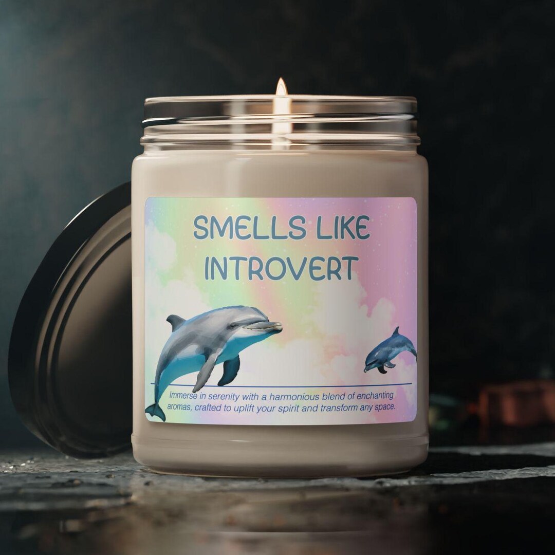 Smells Like Introvert Funny Meme Y2k Dolphins Cursed Candle Soywax 9oz ...