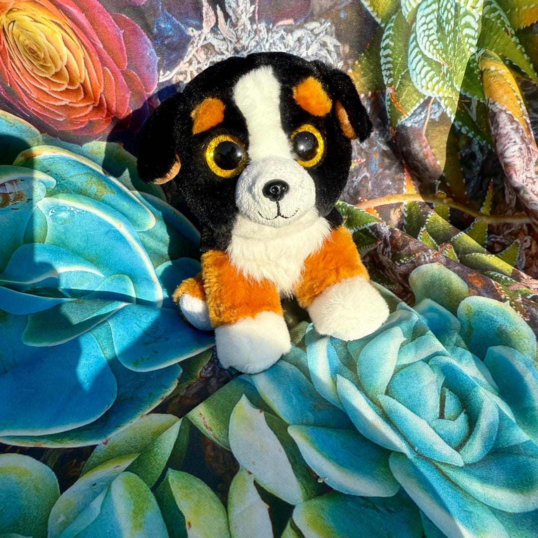 Ty Beanie Boos Roscoe Small Plush Puppy – Gold Glimmer Eyes, EUC - Etsy