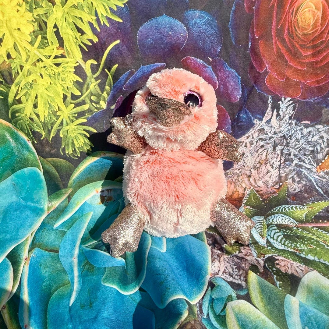 Wilma Flamingo Beanie Boo Ty Silk Plush Glitter Hands & Feet E.U.C. - Etsy