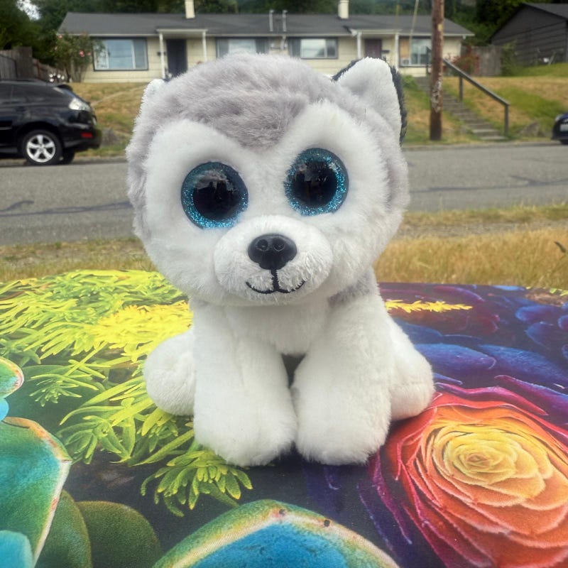 Ty Husky Plush Gray - Etsy