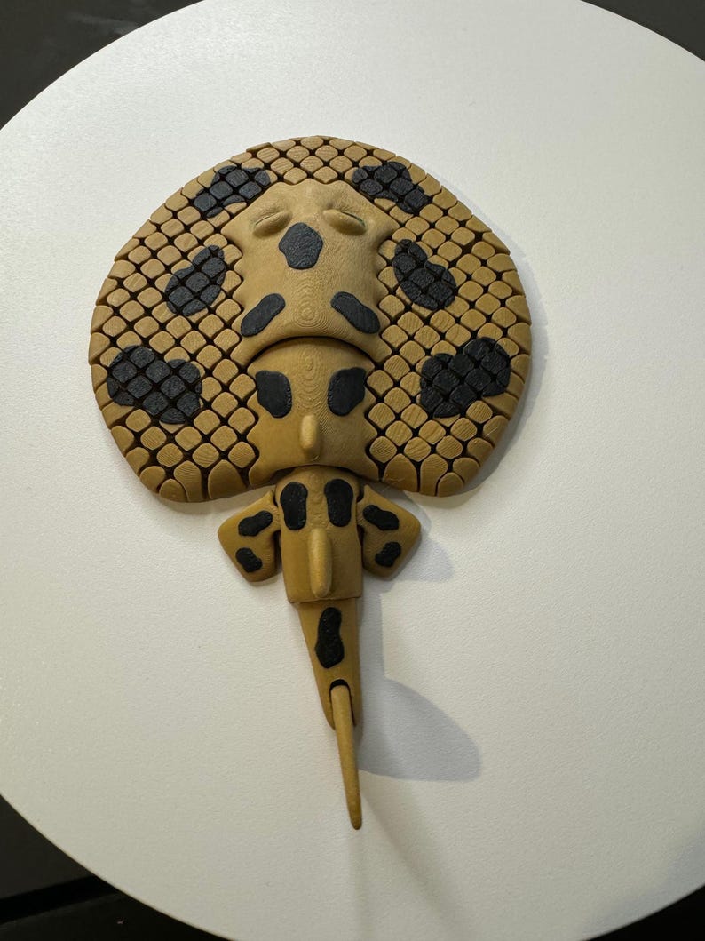 Electric Ray Flexible Toy - Articulated 3D Printed - Etsy