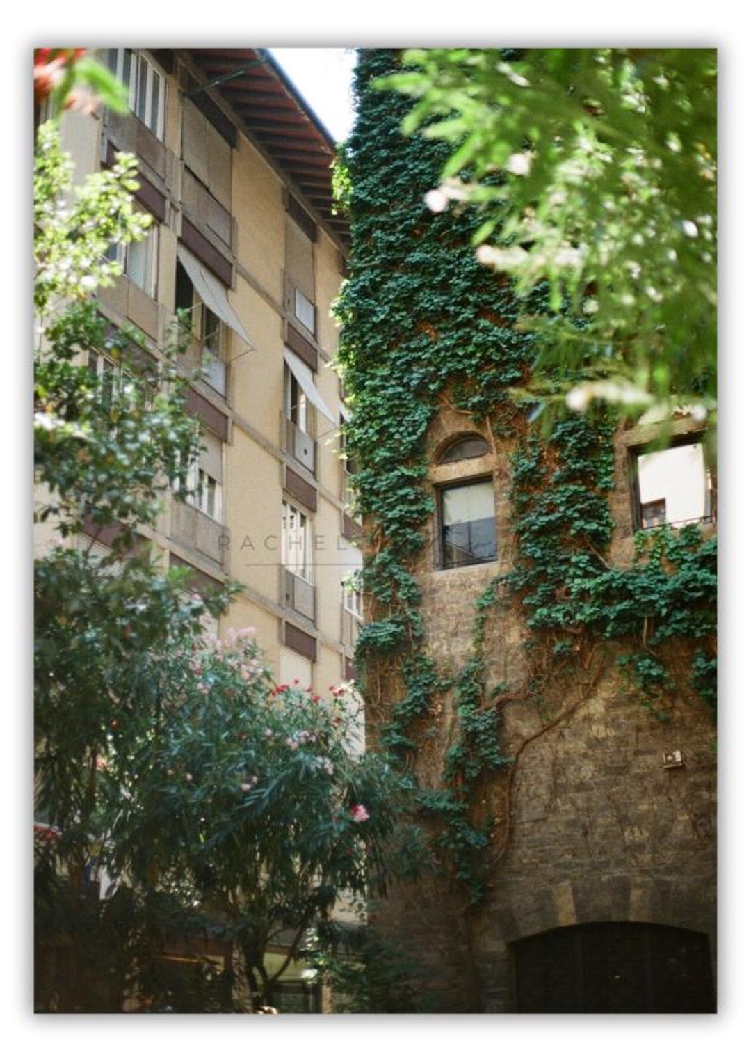 Living Walls - Color Film Photography Print - Digital Download - Etsy