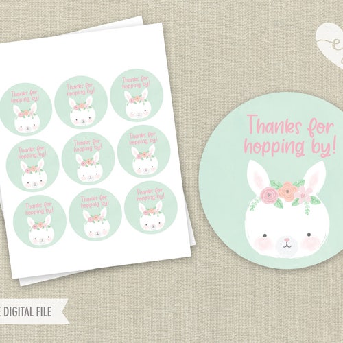 Bunny Favor Bags Bunny Birthday Party Supplies Bunny Party | Etsy