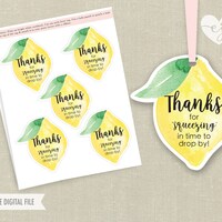 Easy Peasy Lemon Squeezy Summer Lemonade Teacher Appreciation Hanging ...