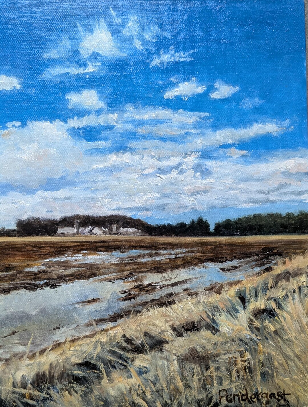 Reflecting Puddles, Original Oil Painting | Ovid, New York - Etsy