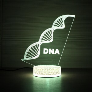 DNA Light Geneticist Gift Gift for Geneticist DNA Lamp Genetics Lamp ...