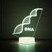 DNA Light Geneticist Gift Gift for Geneticist DNA Lamp Genetics Lamp ...
