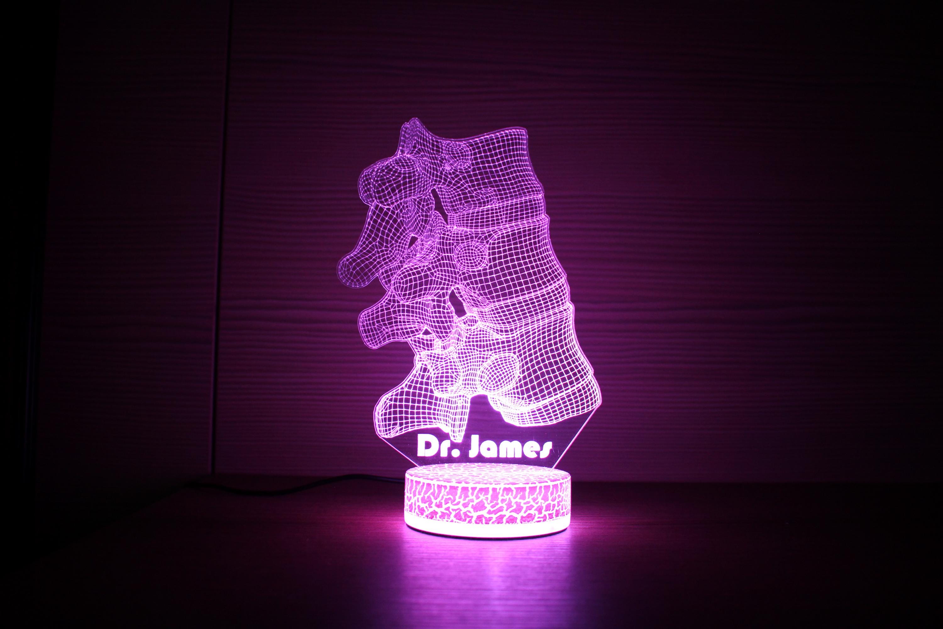 Vertebral Joint Light Orthopedist Gift Vertebral Joint Lamp Gift for ...