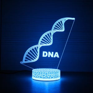 DNA Light Geneticist Gift Gift for Geneticist DNA Lamp Genetics Lamp ...
