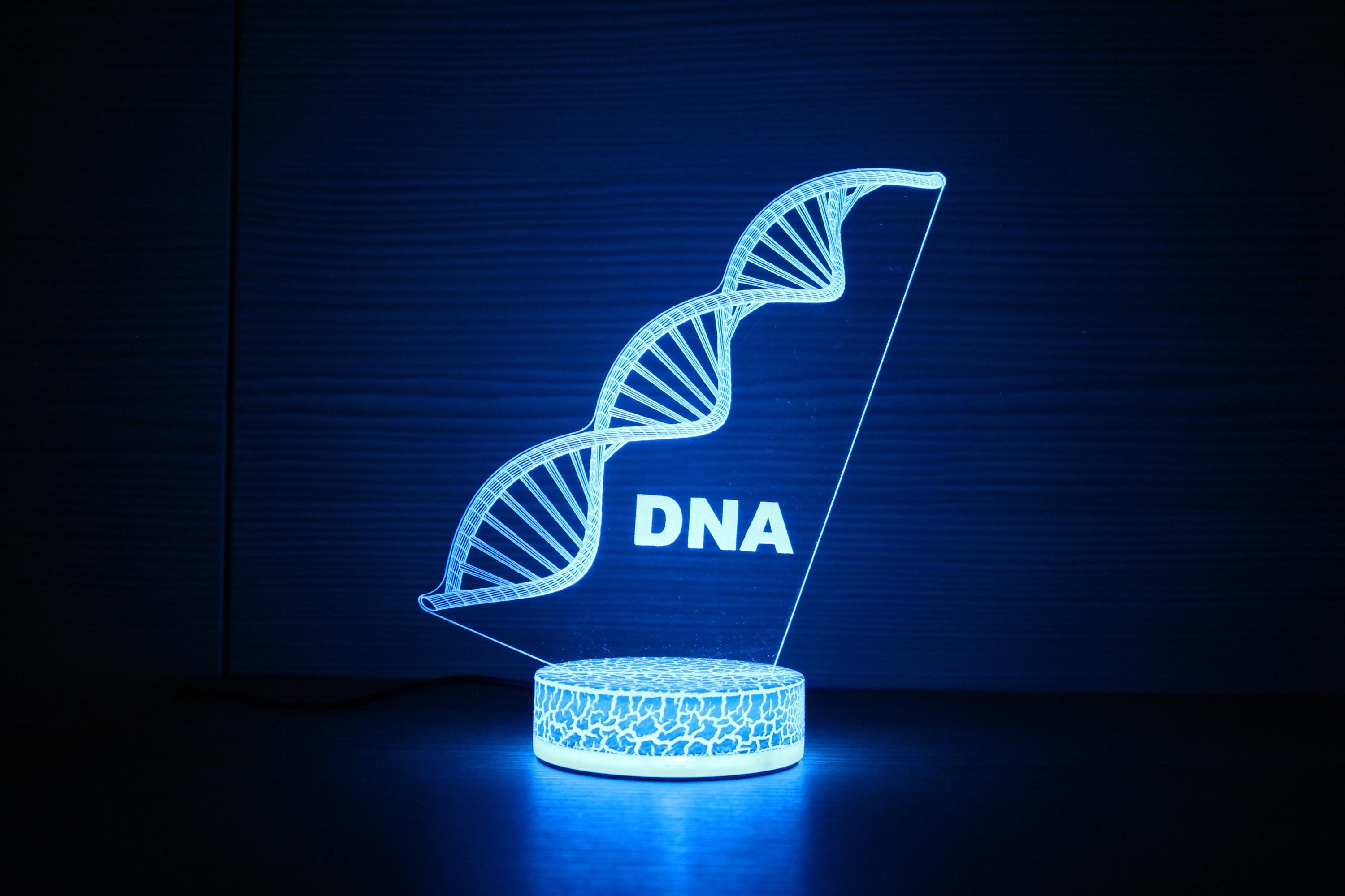 DNA Light Geneticist Gift Gift for Geneticist DNA Lamp Genetics Lamp ...