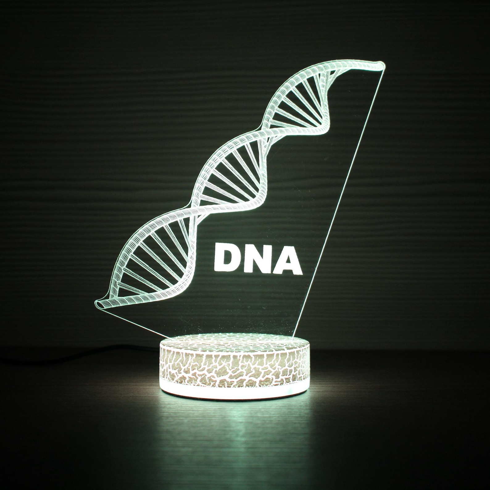 DNA Light Geneticist Gift Gift for Geneticist DNA Lamp Genetics Lamp ...