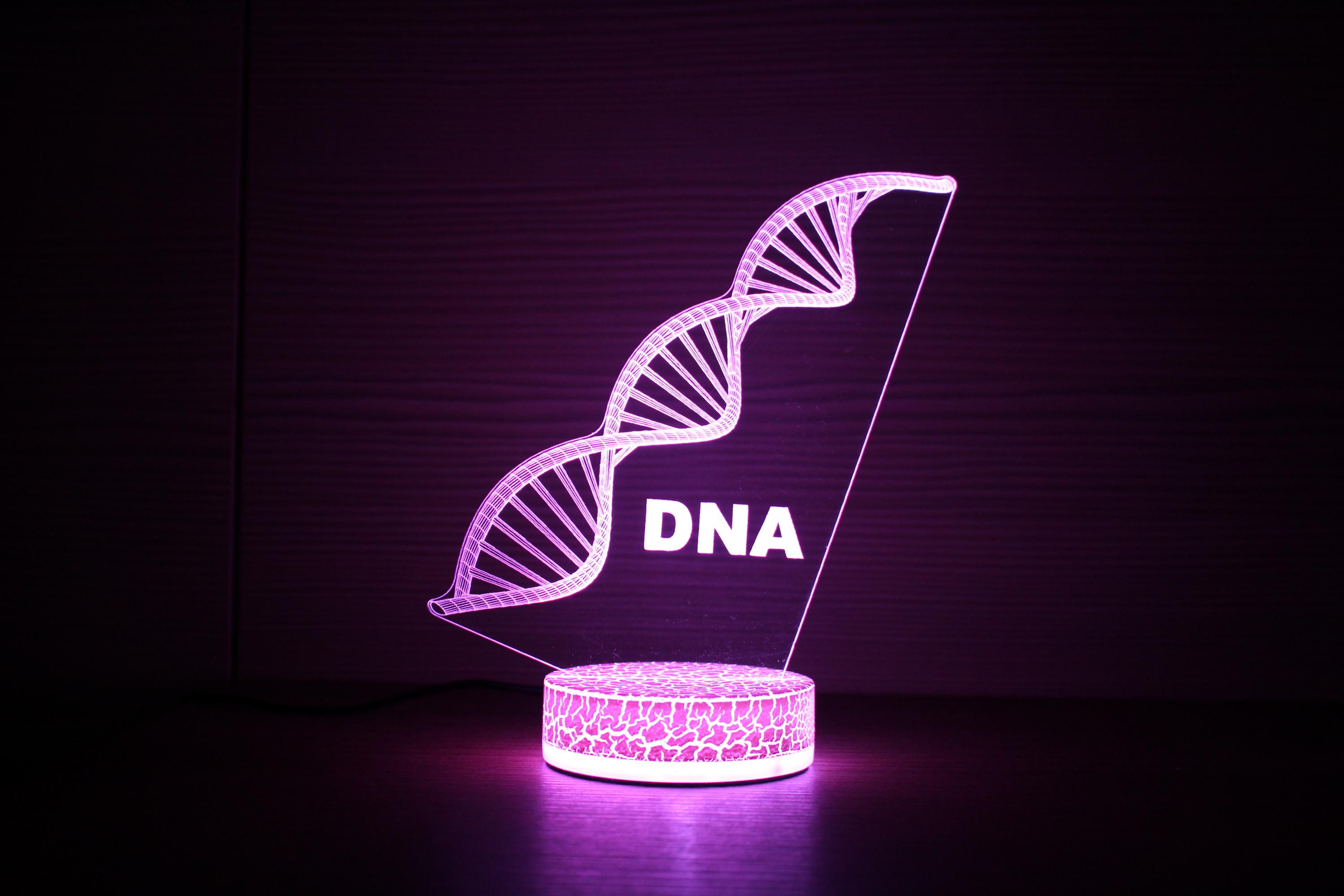 DNA Light Geneticist Gift Gift for Geneticist DNA Lamp Genetics Lamp ...