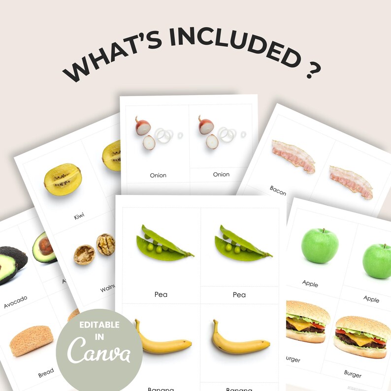 Montessori Flashcards & Worksheets Set for Homeschooling - 170 Pages ...