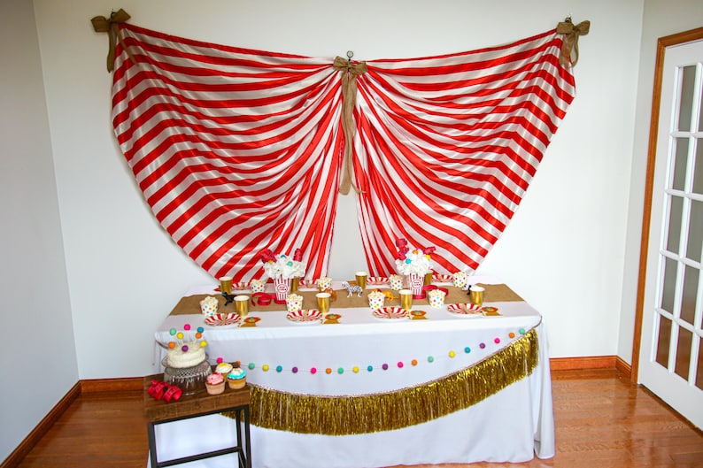 Carnival Themed Party Decorations Kit Carnival Party Supplies Animals ...