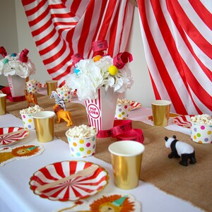 Carnival Themed Party Decorations Kit Carnival Party Supplies Animals ...