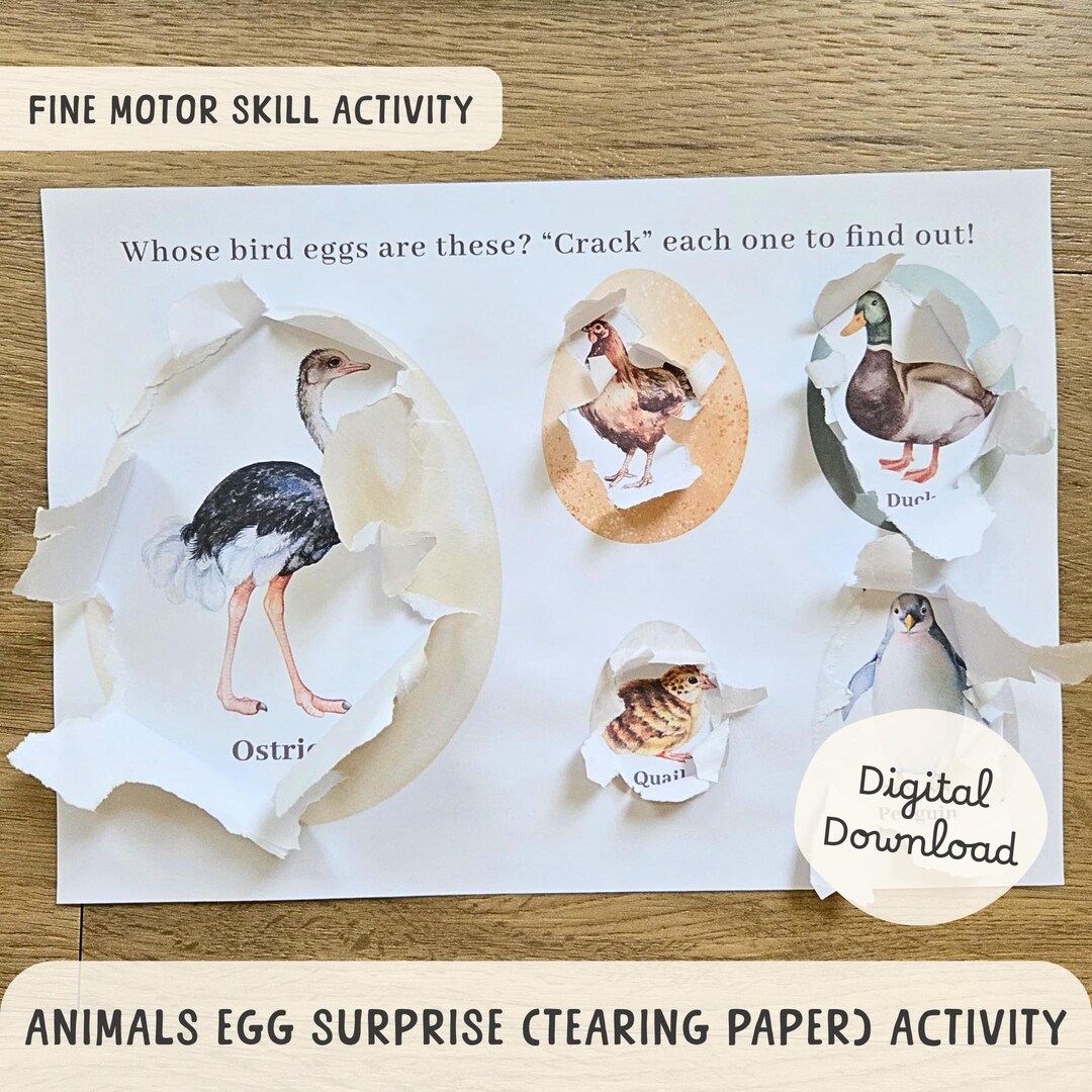 Animal Eggs Tearing Activity: Fine Motor Skills Printable (PDF Download ...