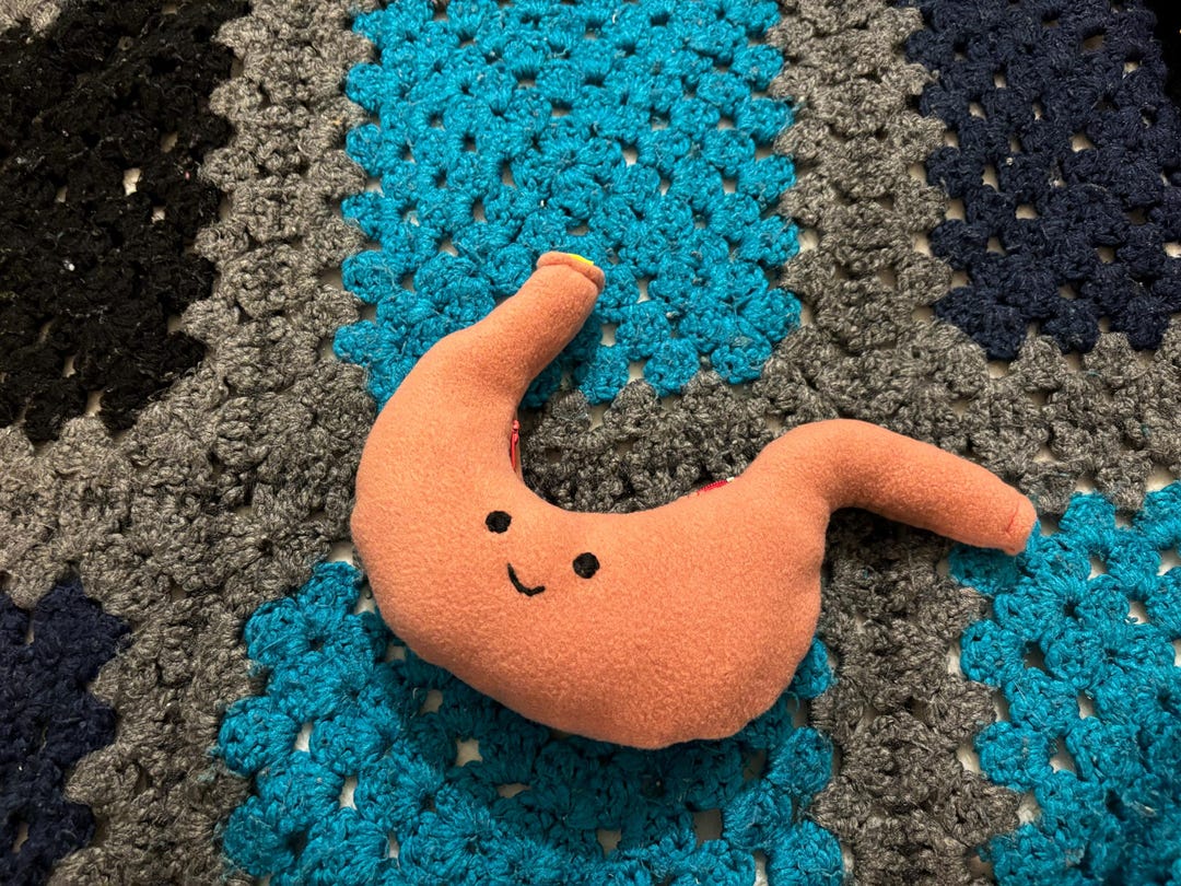 Stuffable Stuffed Stomach Plushie - Etsy