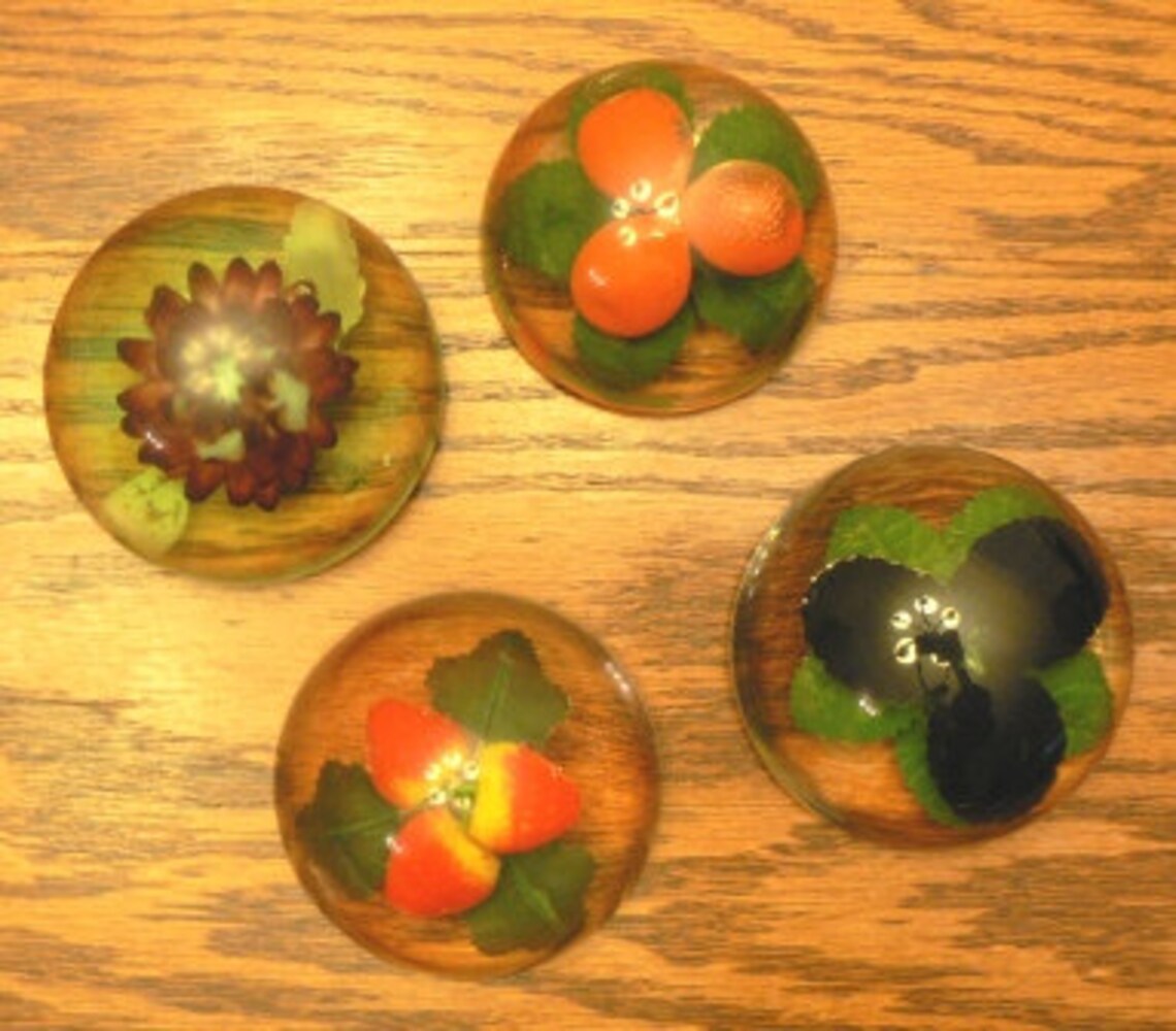 Vintage Office ... PAPERWEIGHT FLORAL FRUIT Set of 4 Resin Paper Weight ...
