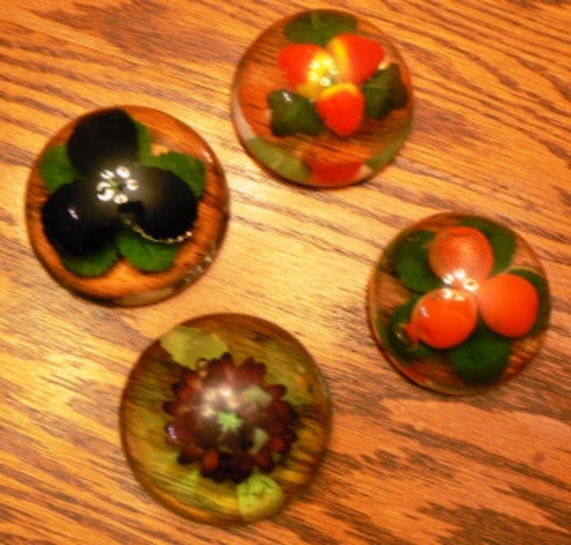 Vintage Office ... PAPERWEIGHT FLORAL FRUIT Set of 4 Resin Paper Weight ...