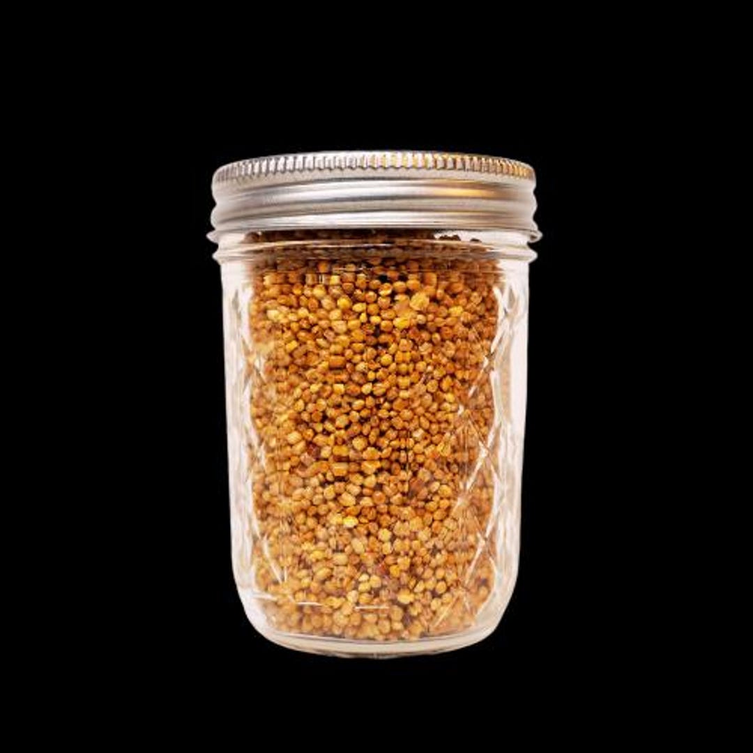 Sterile Grain Jars - Etsy