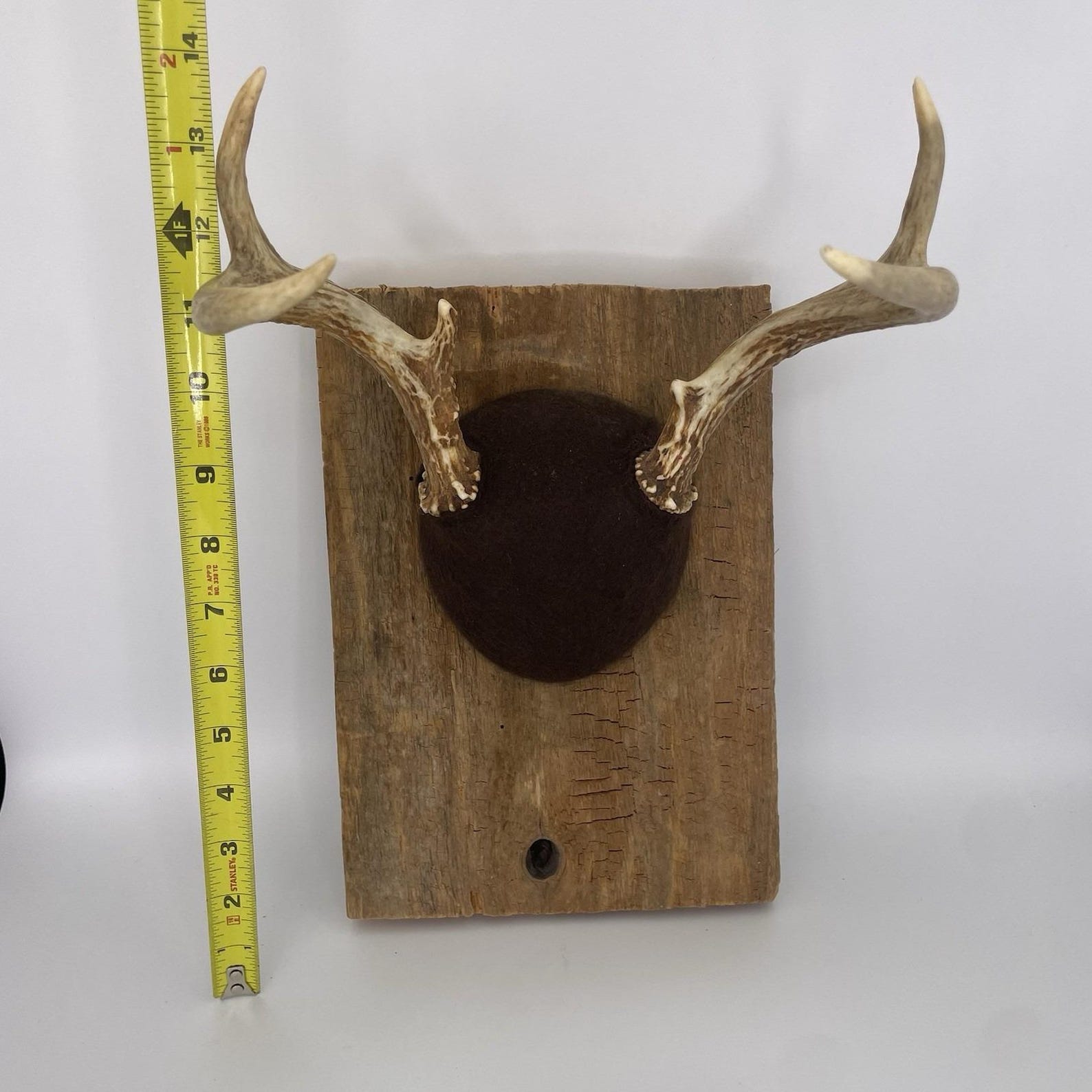 VTG 4 Point Whitetail Deer Antlers Mount on Rustic Wood Plaque ...
