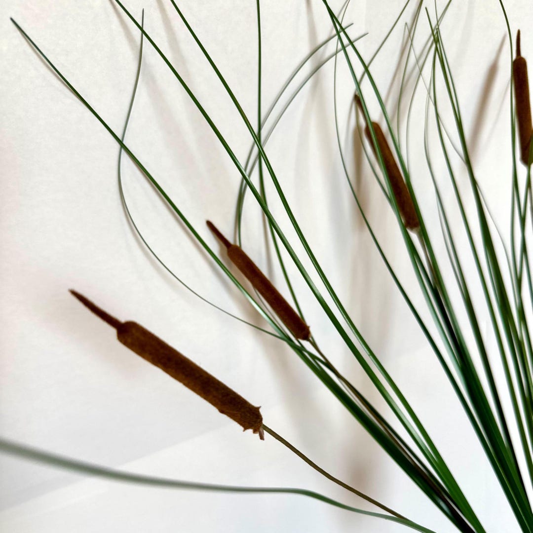 Mini Cattail Spray - Etsy UK