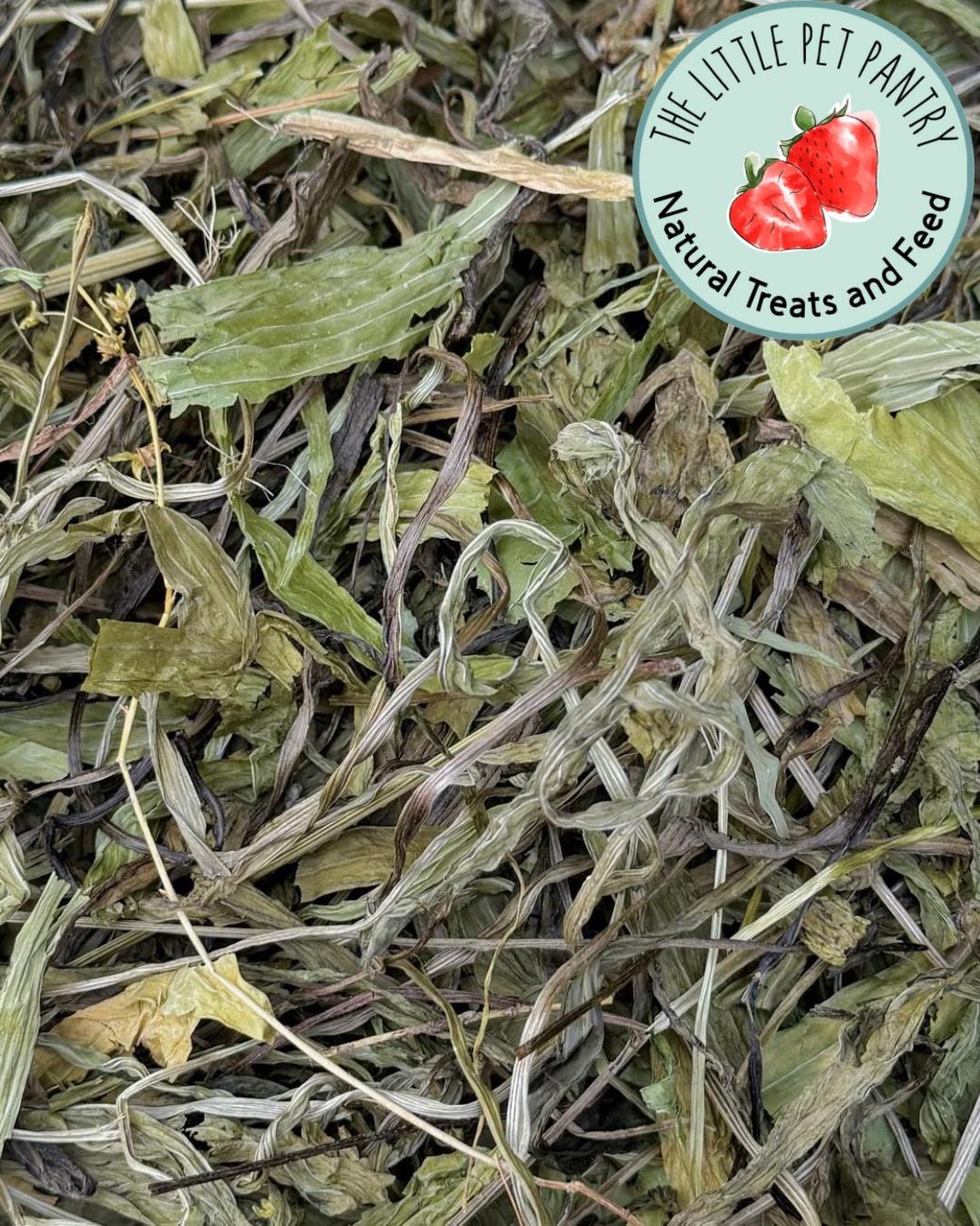 Dried Plantain Treats: Natural Forage for Rabbits & Guinea Pigs - Etsy