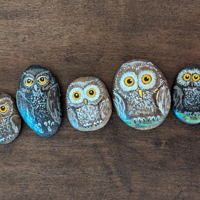 Painted Owl Rocks - Etsy