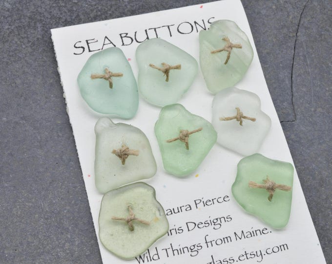 Beautiful Curves a Set of Eight Sea Foam Green Natural Maine Sea Glass ...