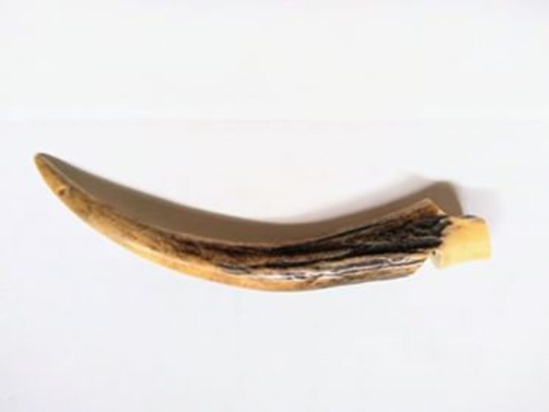 Hand Carved Siberian Stag Horn Dog Whistle: Eco-friendly Pet Training ...