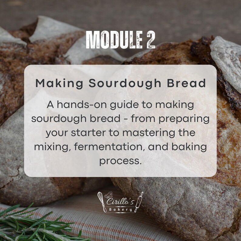 Sourdough Bread Masterclass | 3 Modules, 10 Videos, PDF | Easy ...