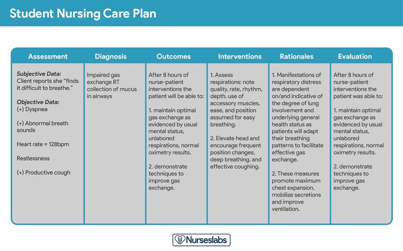 Nursing Care Plan - Etsy
