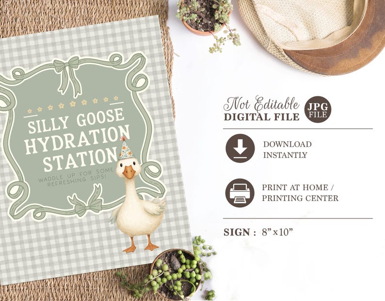 Silly Goose Hydration Station Sign – Birthday, Baby Shower (instant ...