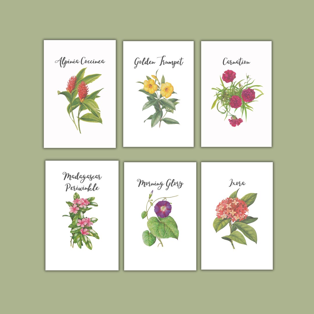 Flower Name Table Cards, Assorted Flower Cards for Wedding or Special ...